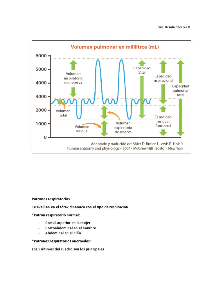 Semio Respiratorio Mas | Descargar gratis PDF | Sistema respiratorio ...