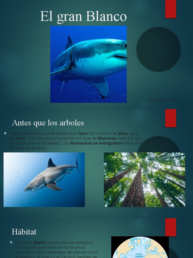 El Gran Blanco | PDF