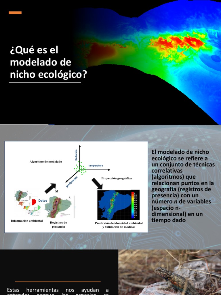 Leccion2_Que+es+un+modelo+de+nicho | PDF Leccion2_Que+es+un+modelo+de+nicho | PDF