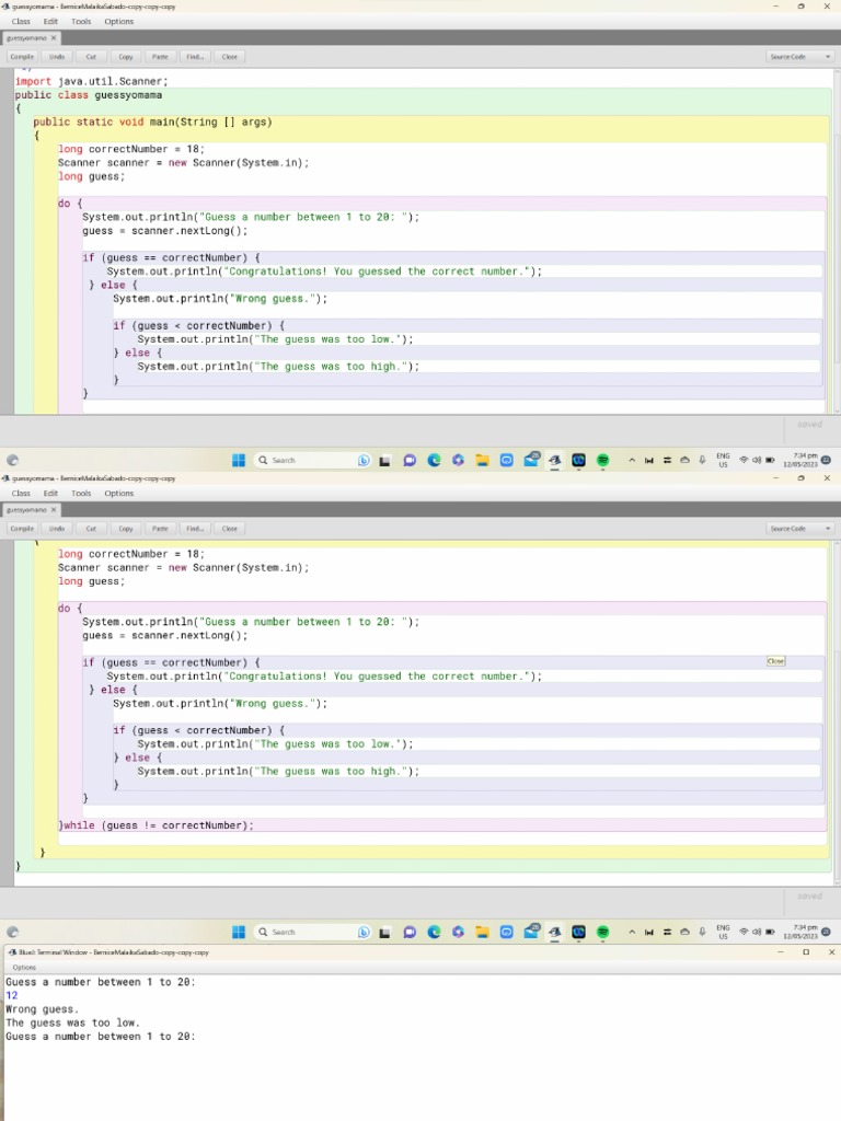 Do While Loop Computer | PDF