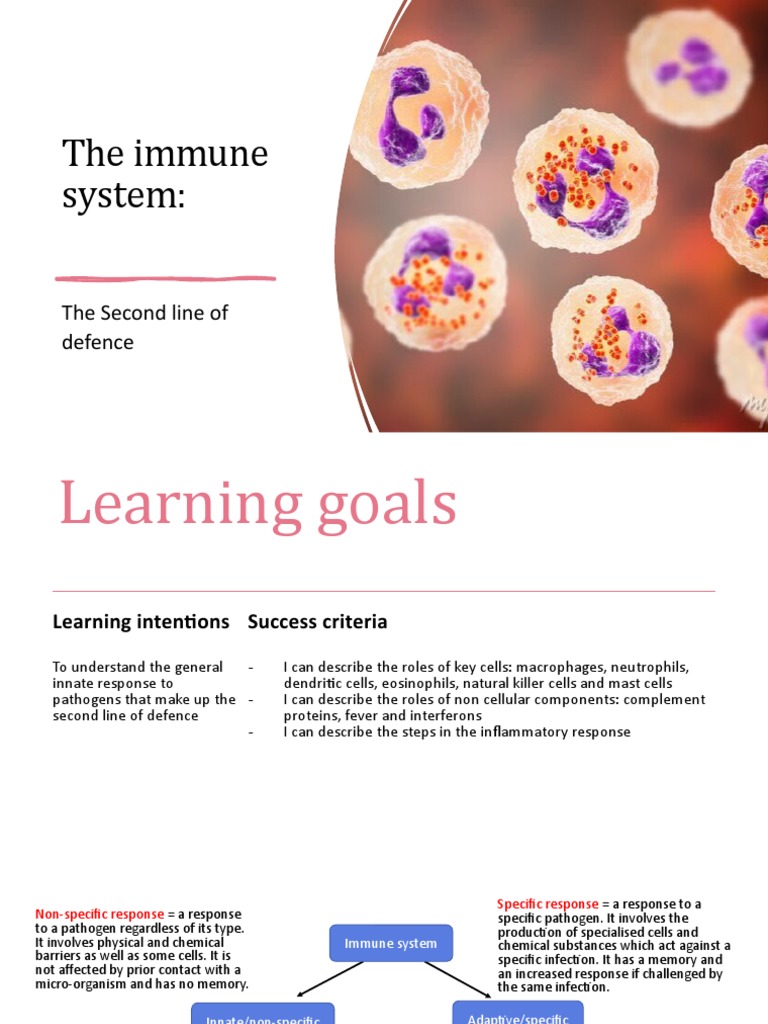 The Second Line of Defence | PDF