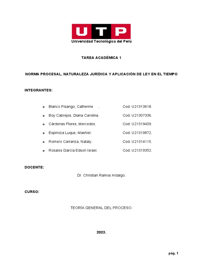Tarea Académica 1 - Teoría General Del Proceso (Grupo 8) | PDF