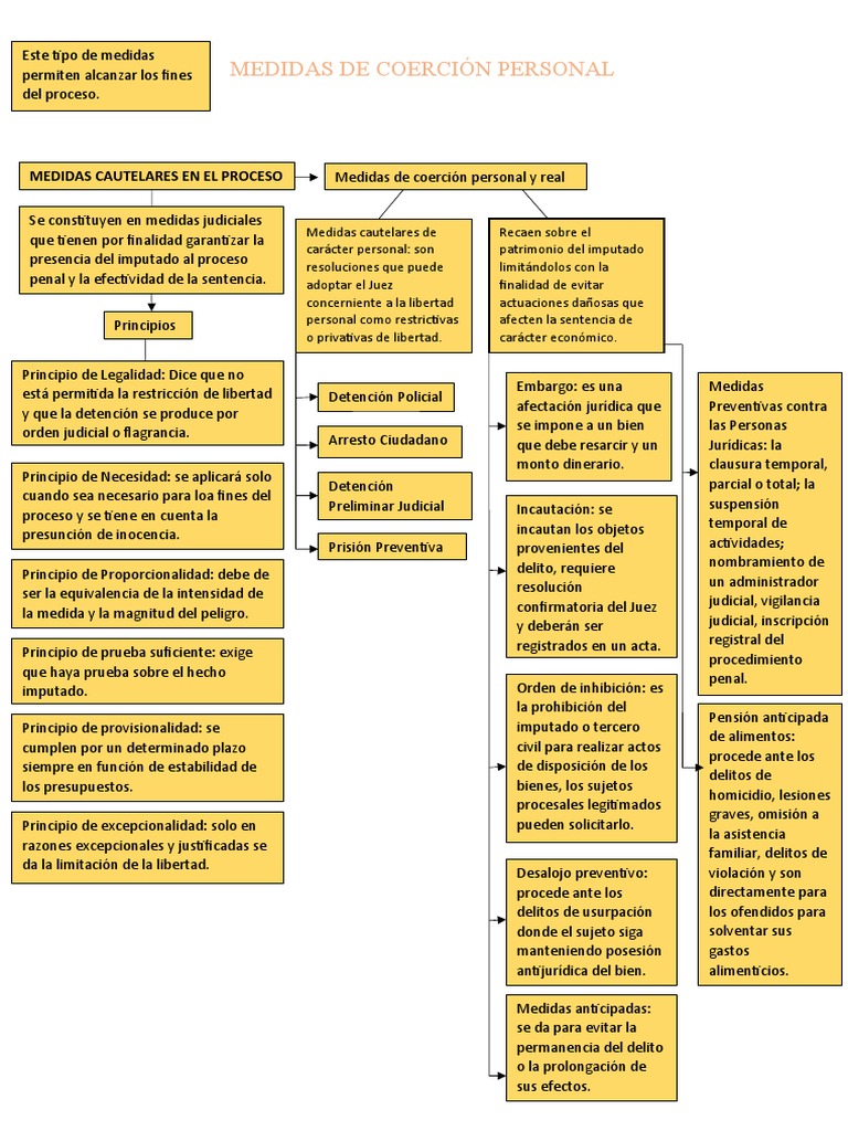 Medidas de Coerción Personal y Real | PDF
