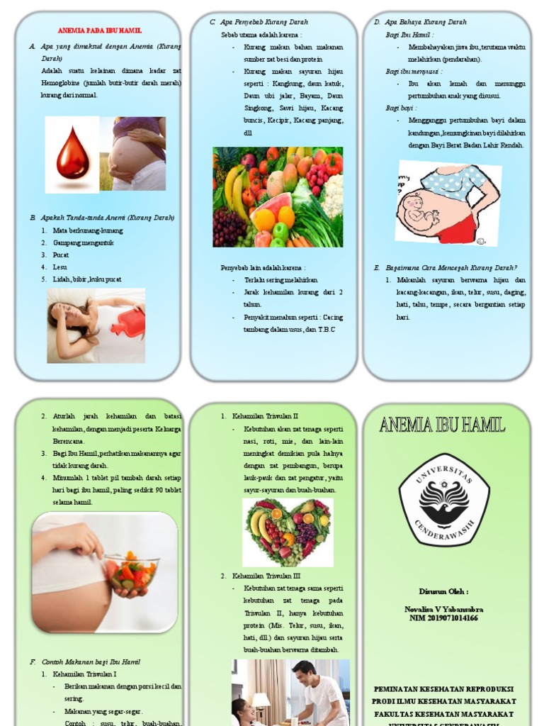 Leaflet Anemia Ibu Hamil | PDF