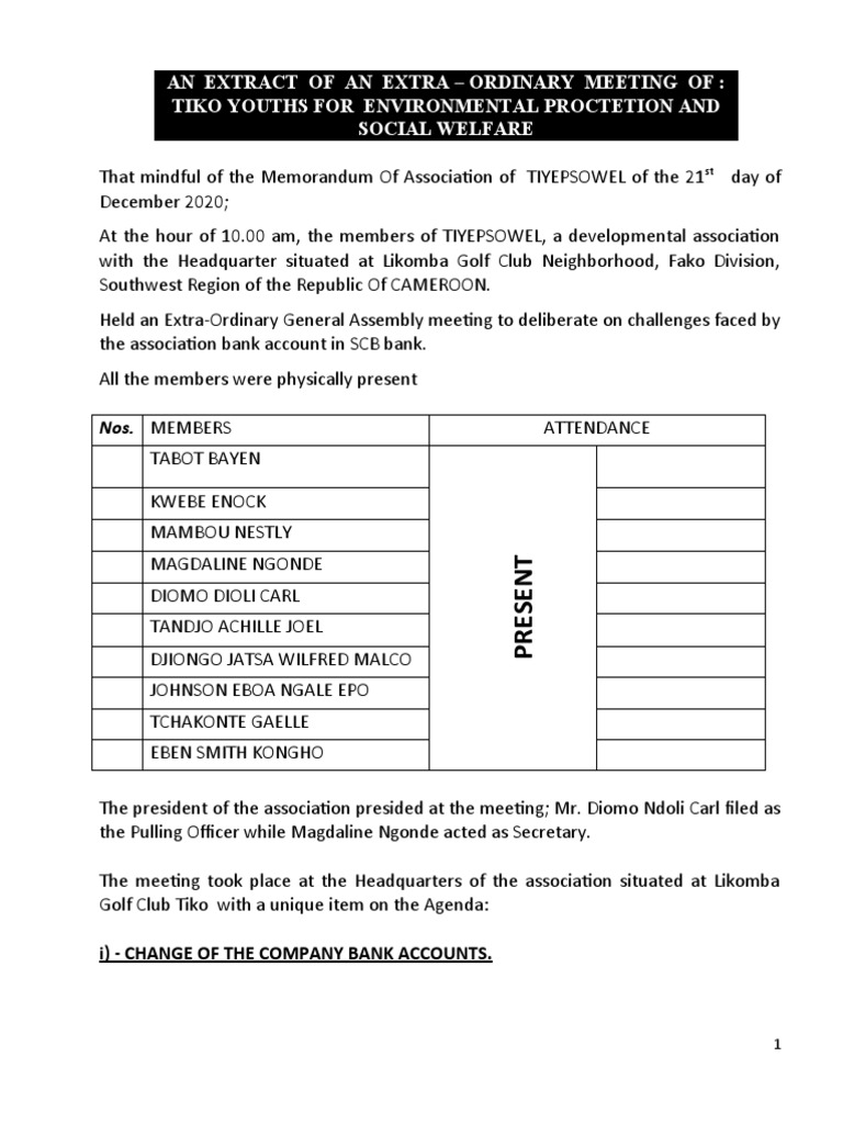 Extract of An Extraordinary Meeting For Tiyepsowel Bank Account | PDF