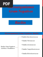 Ficha Tecnica Agrygent Plus 8 WP | PDF | Las bacterias | Biología