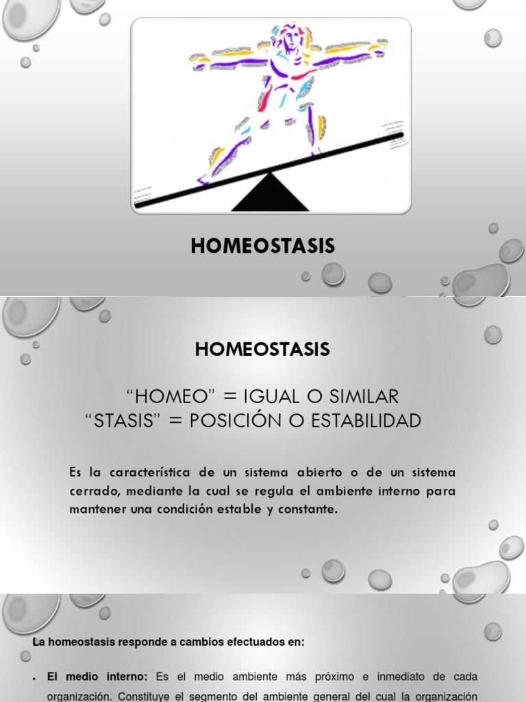 La homeostasis como proceso de autorregulación para mantener el ...