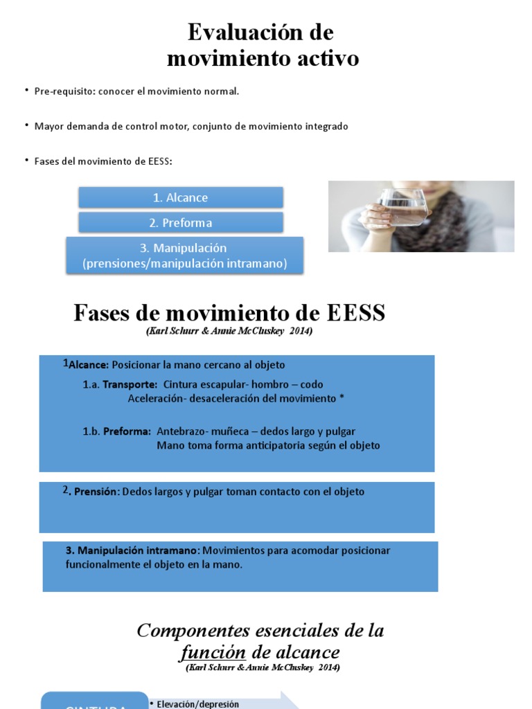 Análisis de EESS | PDF | Mano | Extremidades (anatomía)