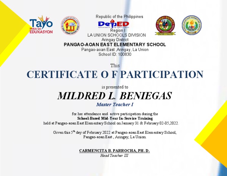 Certificate of Participation INSET | PDF