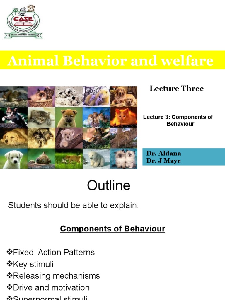 Animal Behaviour and Welfare | PDF | Science & Mathematics