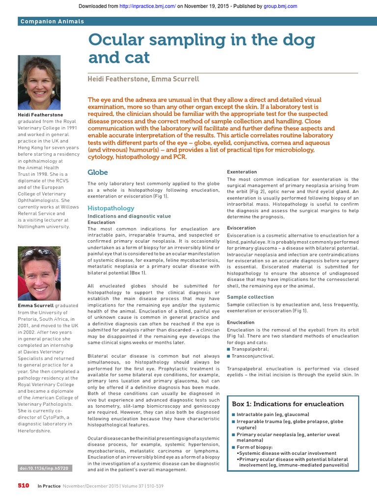 Veterinary Ocular Sampling Guide | PDF