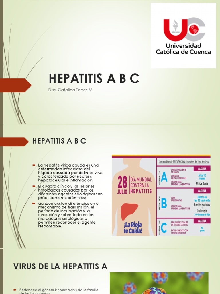 Guía Completa sobre Hepatitis A, B y C | PDF | Hepatitis | Hepatitis B