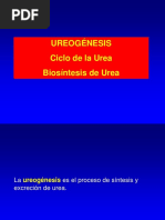 La Síntesis de La UREA | PDF | Urea | Sustancias químicas