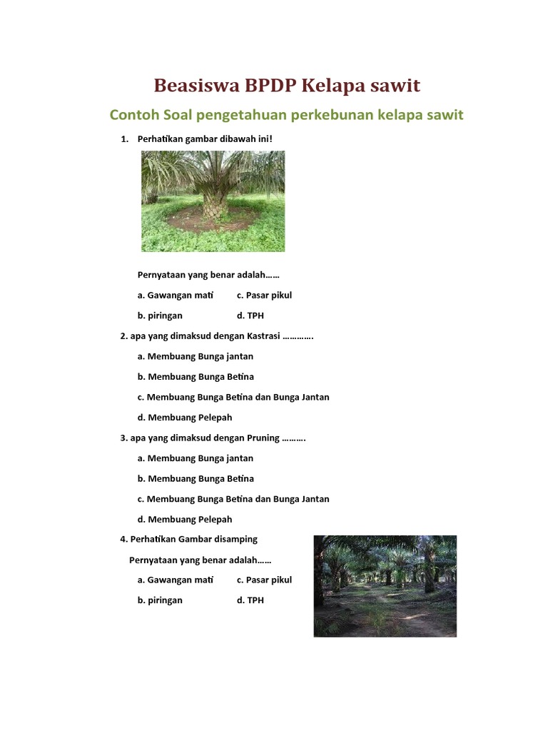 Soal Beasiswa BPDP Kelapa Sawit | PDF