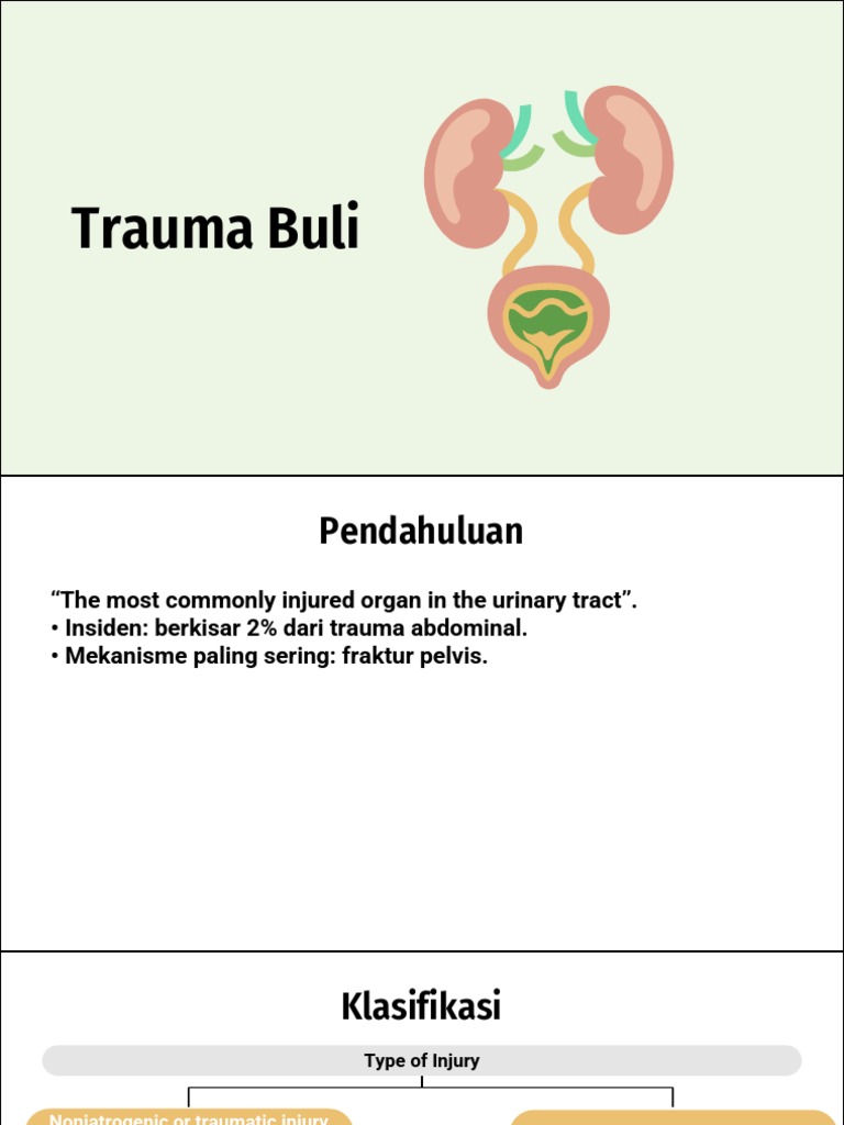 Trauma Buli Cer | PDF