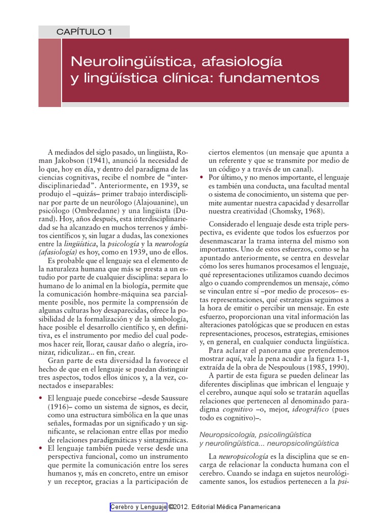 Cerebro Y Lenguaje Pdf Neurolingüística Comunicación Humana