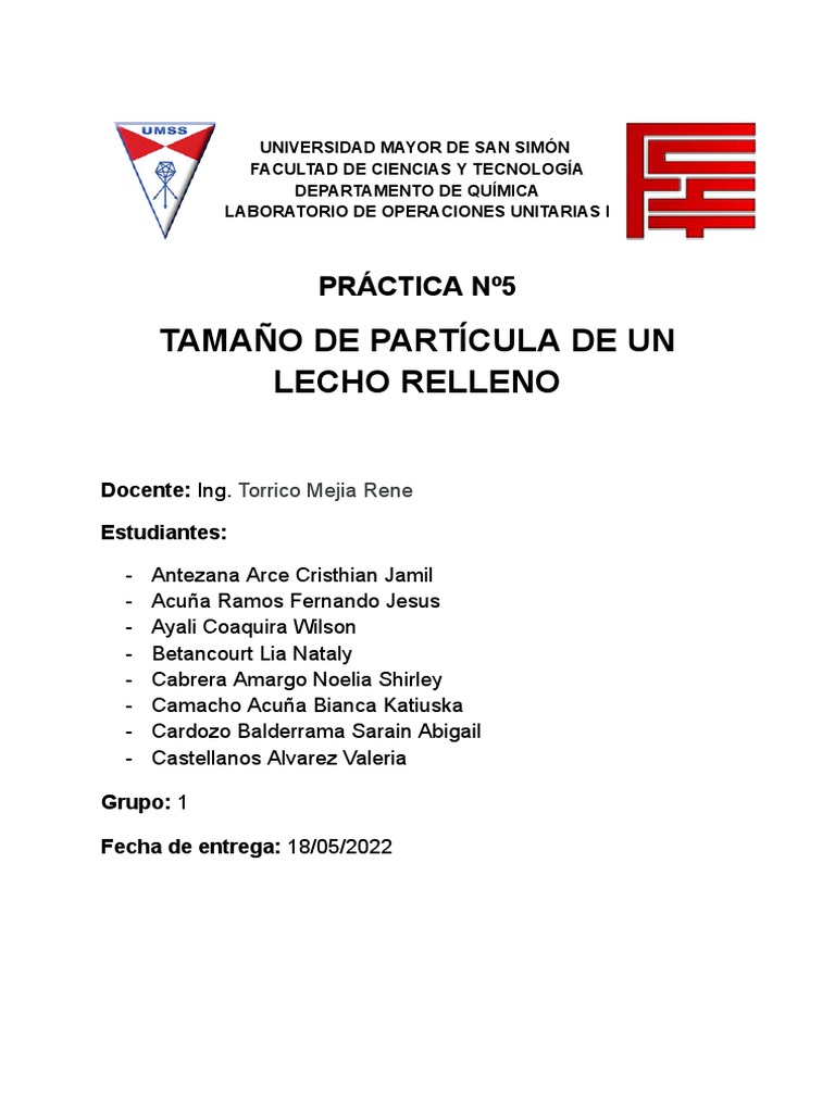 Practica N°5 Tamaño de Una Particula de Un Lecho Relleno - Documentos ...