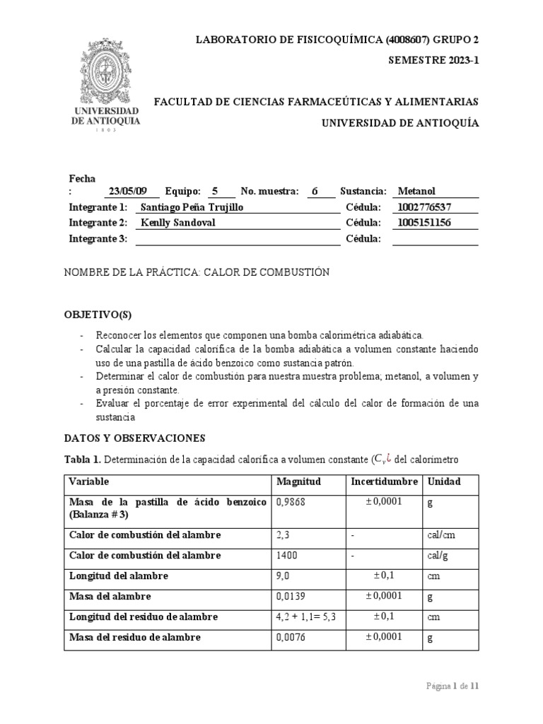 Informe Calor de Combustión | PDF | Calor | Combustión
