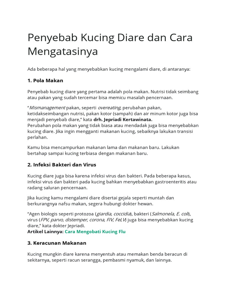 Merawat Kucing Diare | PDF | Kesehatan Holistik