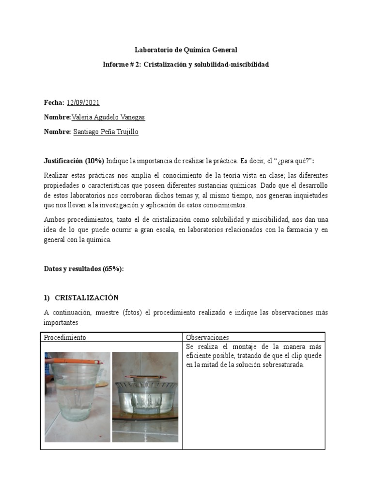 Informe 2 Qca. GNR | PDF | Solubilidad | Cristalización
