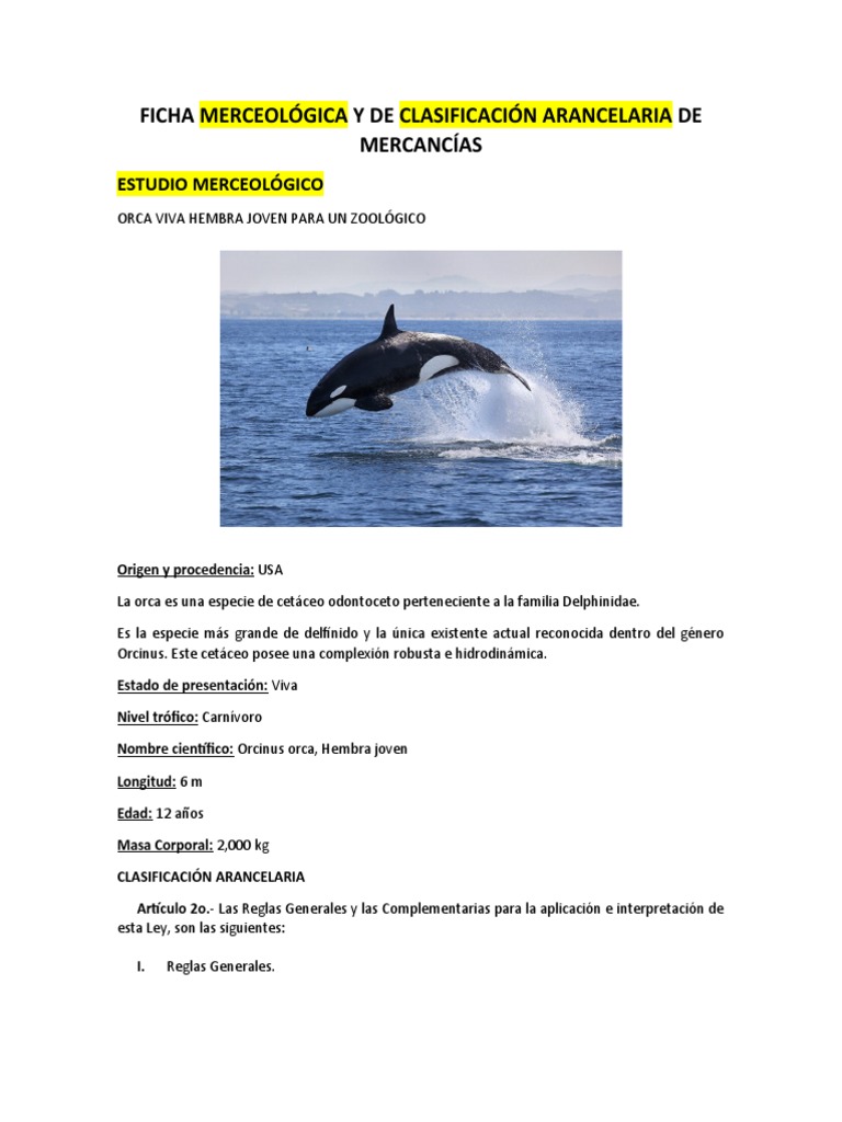 Orca | PDF