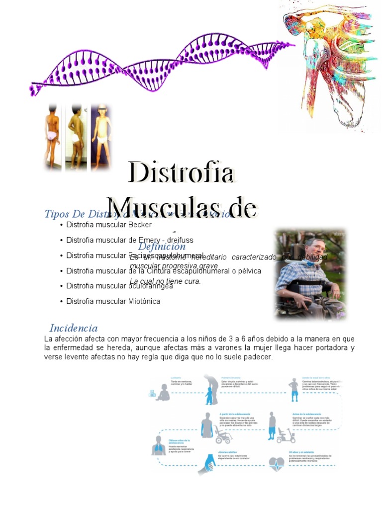 Tipos de Distrofias Musculares Hereditarias | PDF | Sistema ...