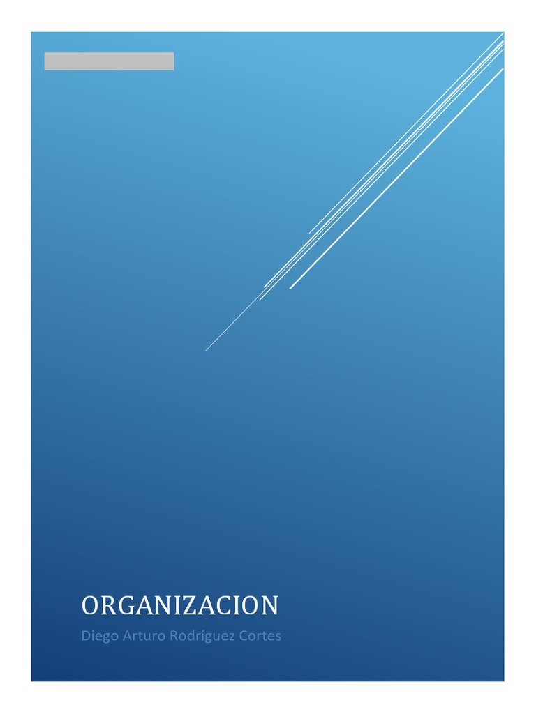 Rcda Organizacion | PDF | Division de trabajo | Diseño