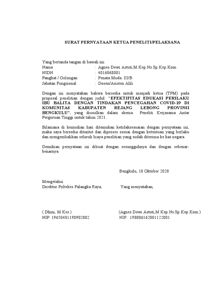 Surat Pernyataan Ketua Peneliti TPM | PDF