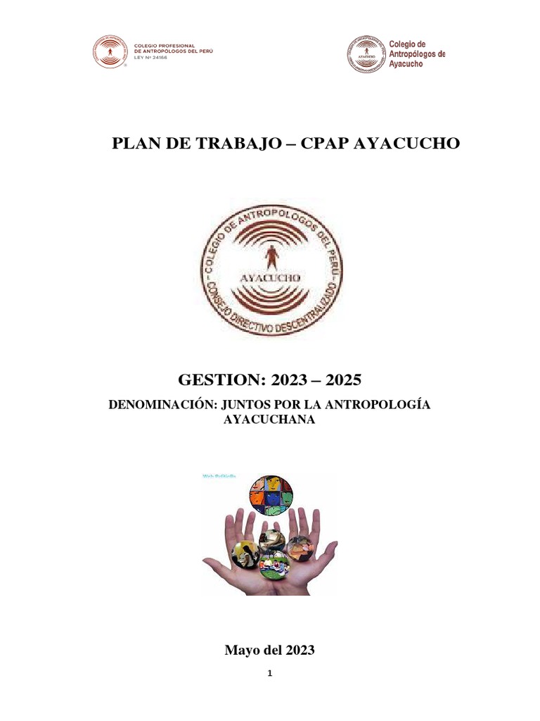 Plan de Trabajo de Desarrollo - Cpap Ayacucho-1 | PDF