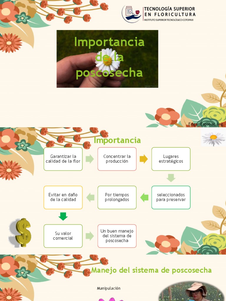 1.2 Importancia de La Poscosecha | PDF
