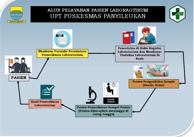 Alur Pelayanan Lab | PDF