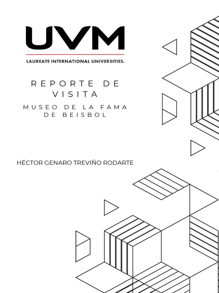 Reporte de Visita MFB | PDF