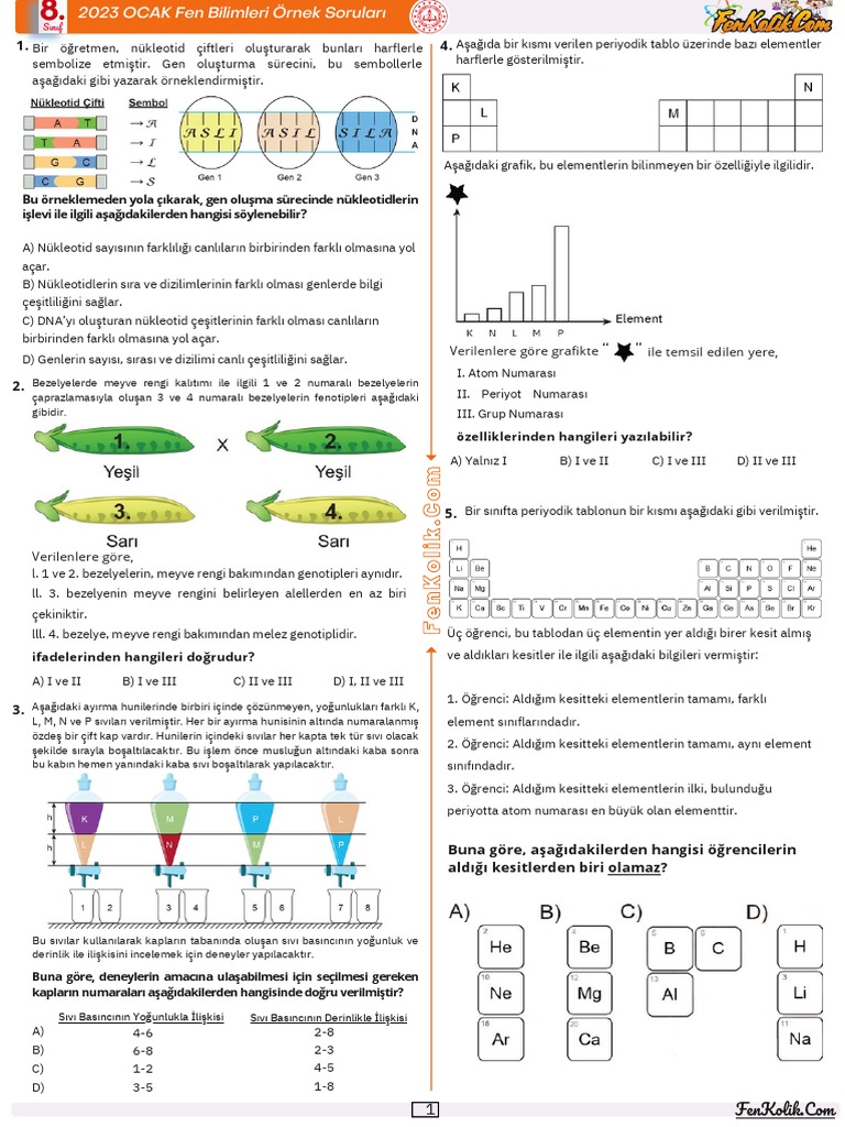 Ev Odevi 1673959930 PDF | PDF