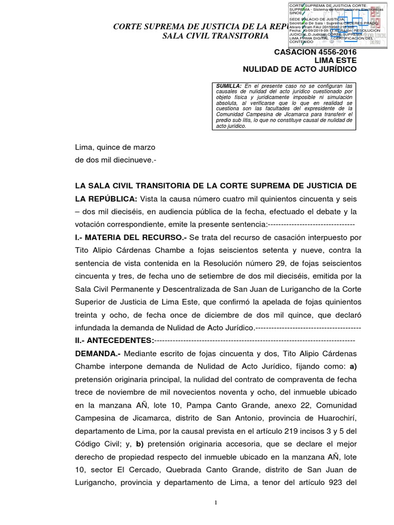 Cas 4556-2016-Lima Este-Objeto Fisicamente Imposible | PDF
