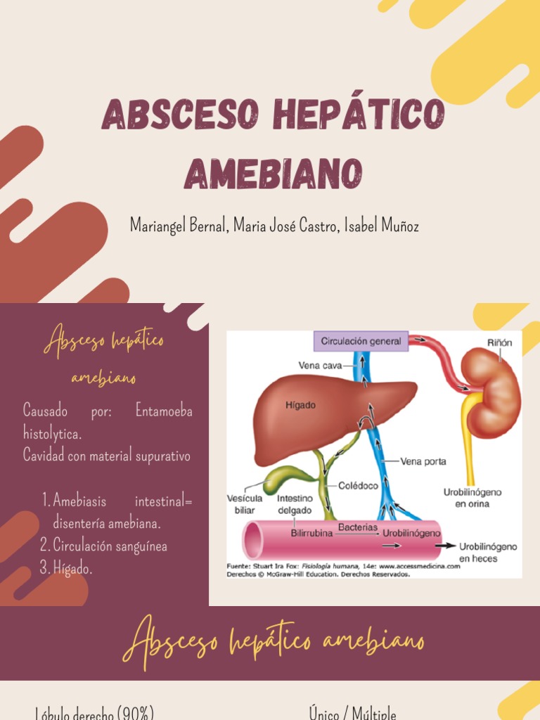 Absceso Hepático Amebiano | PDF | Medicina | Sistema digestivo