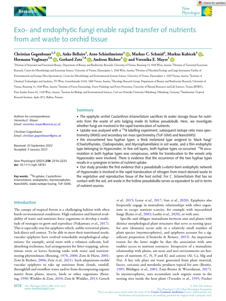 New Phytologist - 2023 - Gegenbauer - Exo and Endophytic Fungi Enable ...