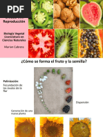 Fruto y Semilla | PDF | Plantas de jardín | Fruta