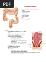Anatomía y Fisiología Anorectal | PDF | Recto | Sistema digestivo