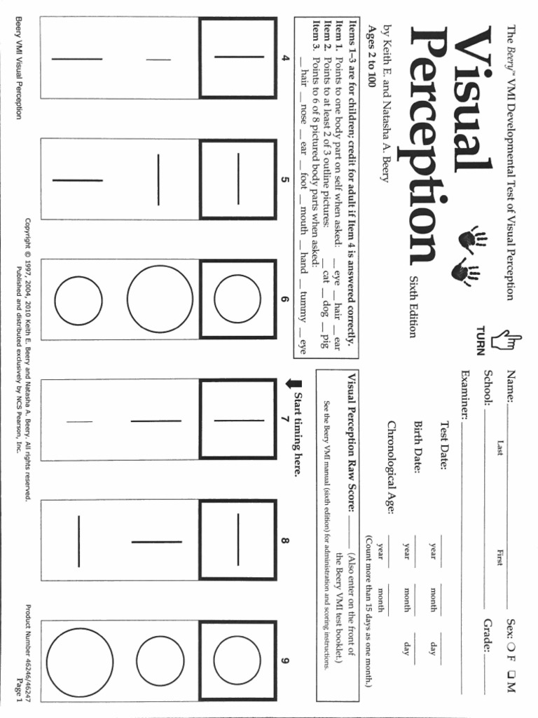 Percepcion Visual | PDF