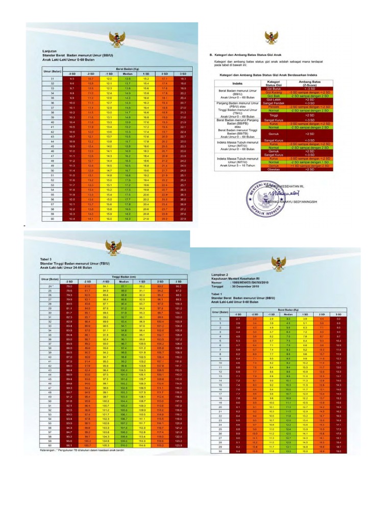 Table Status Gizi | PDF
