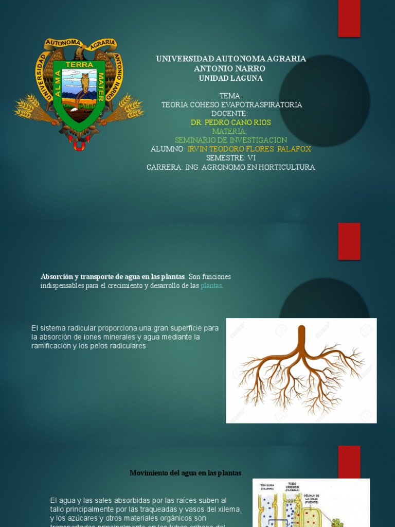 Teoria Coheso Evapotraspiratoria Mimis | PDF | Ciencia y matemáticas