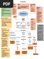 Diacap-Pro B Braun Broshure PDF | PDF | Dialysis | Kidney