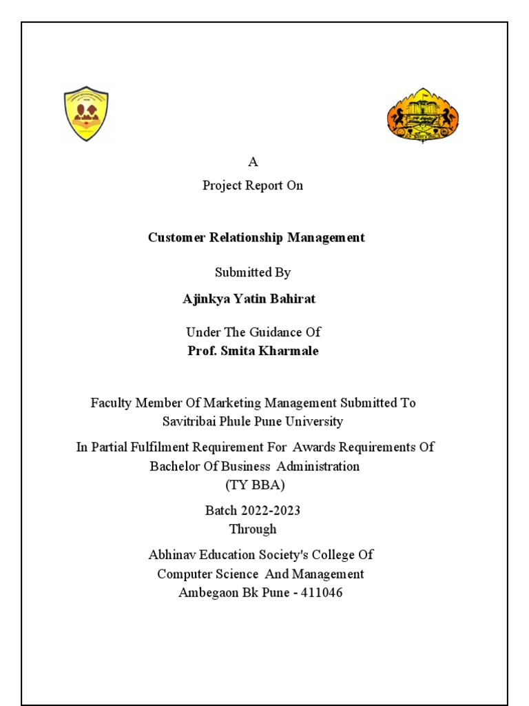 CRM Project BBA | PDF