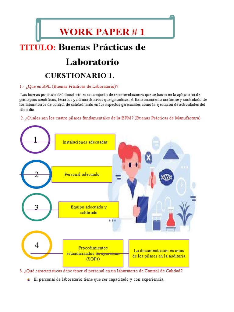 WORK PAPER Control de Calidad | PDF