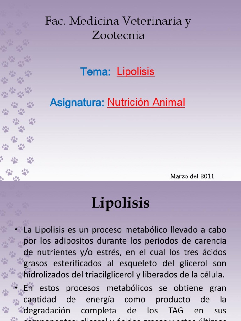 LIPOLISIS | PDF | Bioquímica | Biología