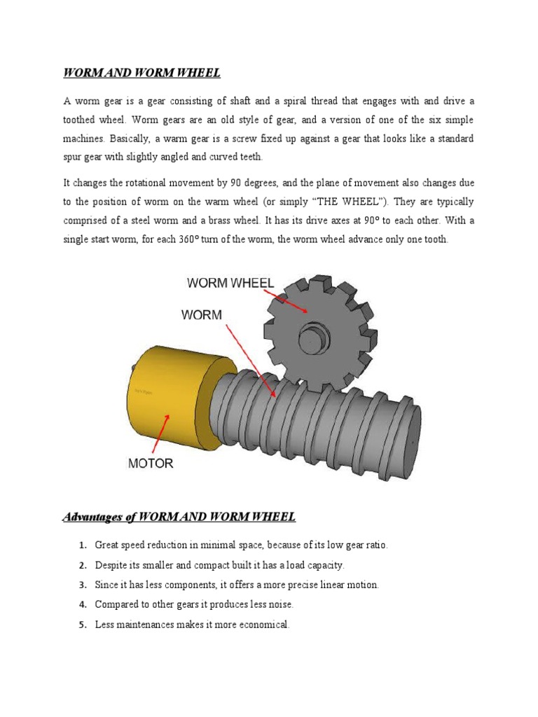 Project ANSYS WORM | PDF | Gear | Mechanical Engineering