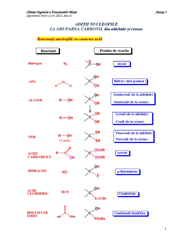 Anexa5 AN 2023 | PDF