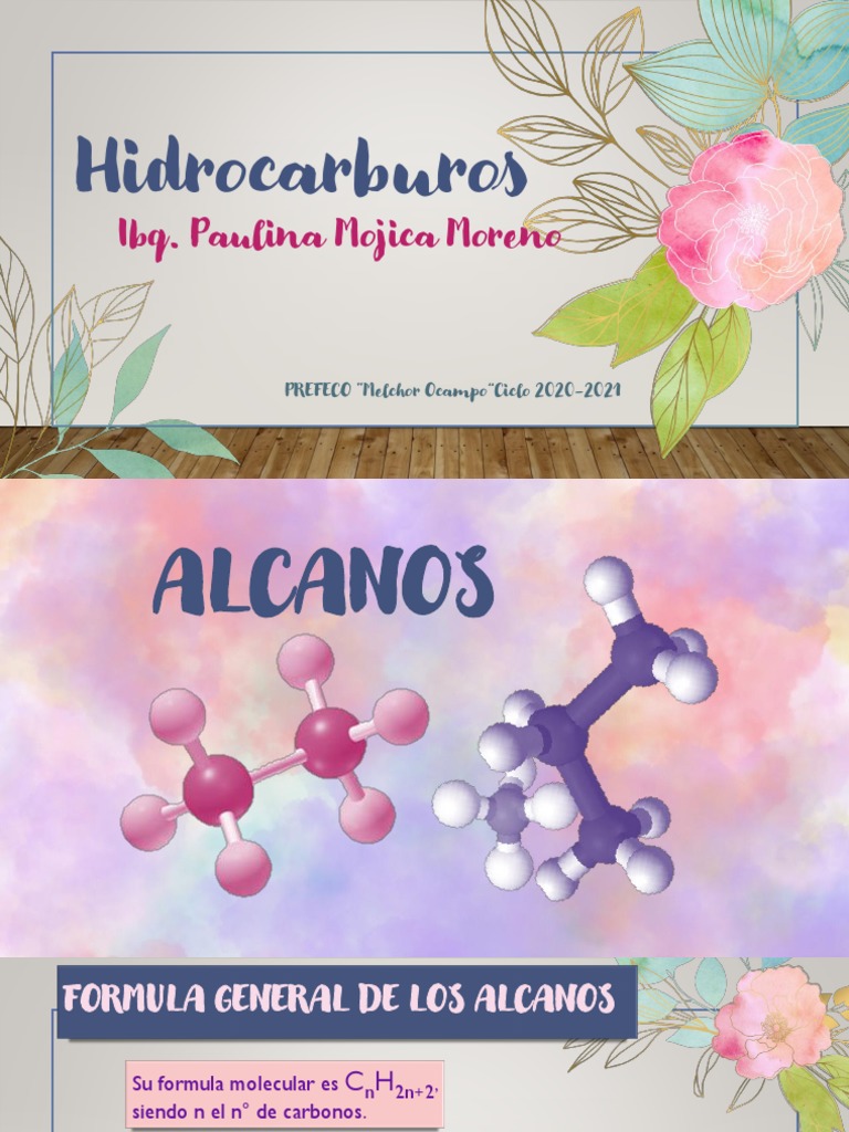 Introducción a los Hidrocarburos: Alcanos, Alquenos y Alquinos | PDF ...
