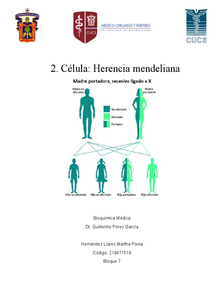 2 Célula Herencia Mendeliana Pdf Gene Dominancia Genética