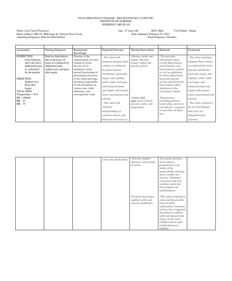 Nursing Care Plan Template - EDITEDpdf | PDF